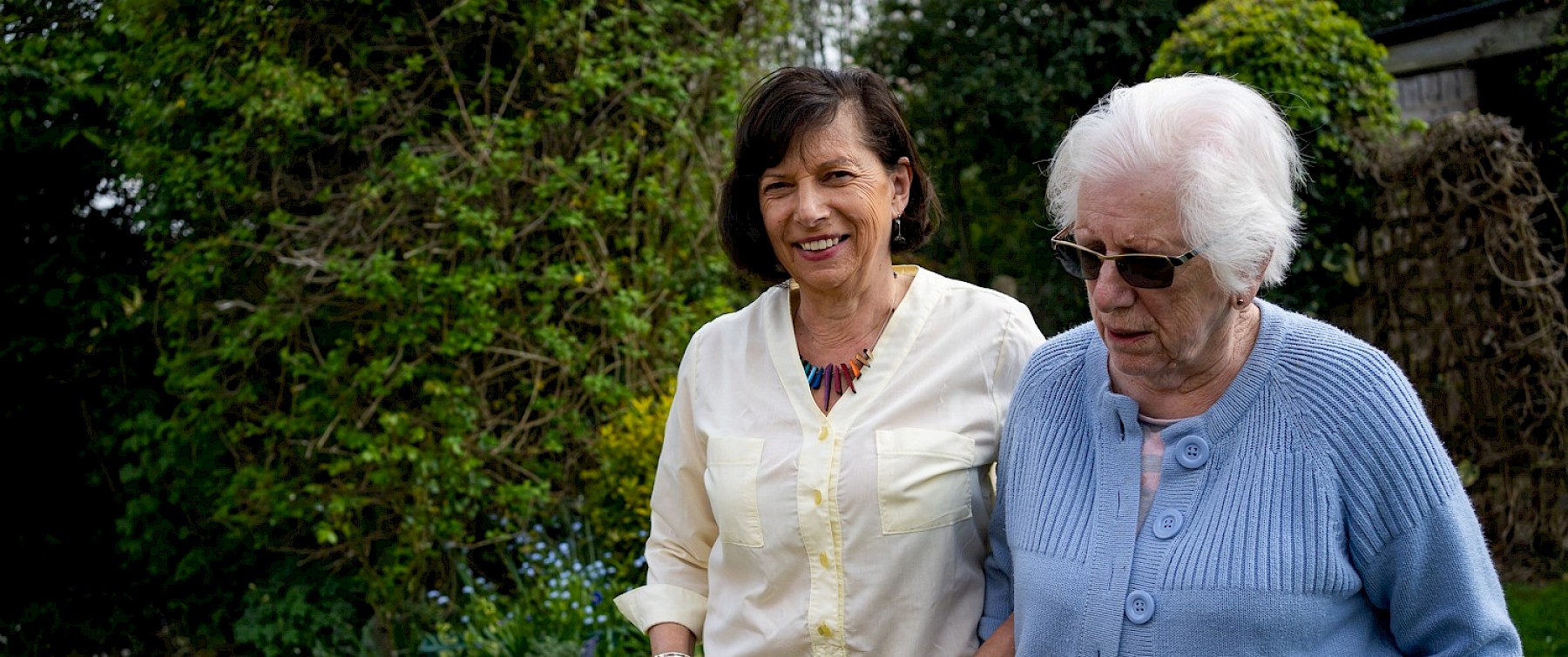 Become a tea party volunteer